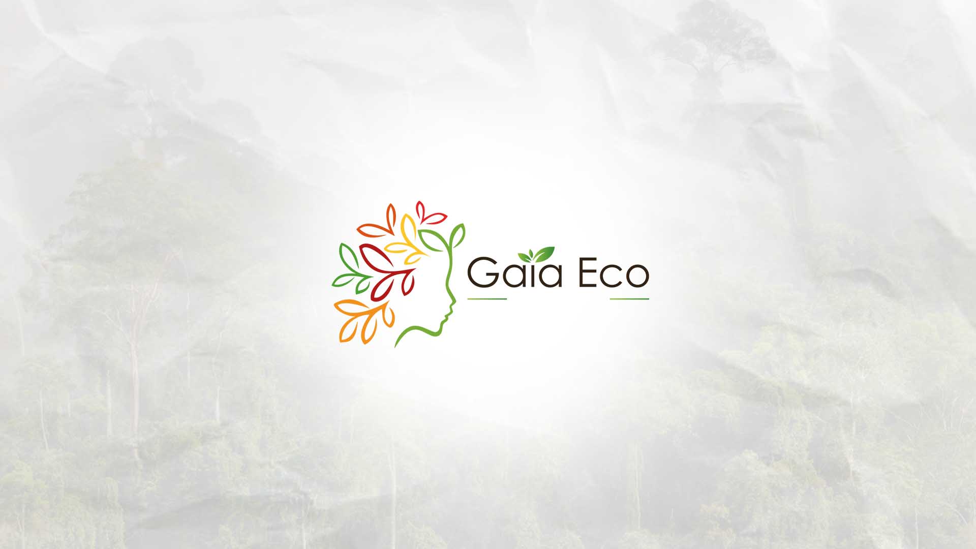 Gaia Eco – Copos e Canudos Biodegradáveis